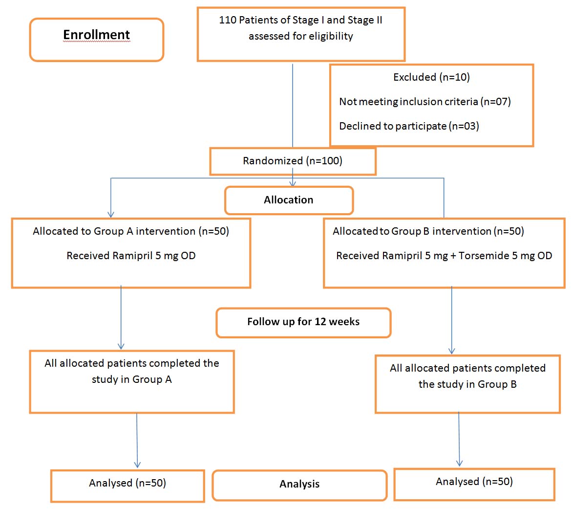 Group A: The participants received ramipril (5 mg) monotherapy.