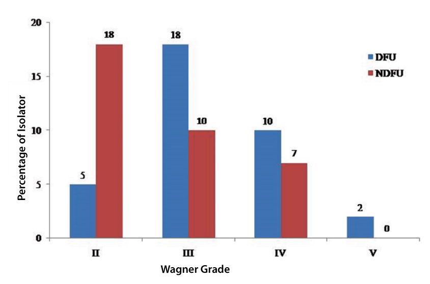 Isolate distribution in different grades of ulcer in DFU and non-DFU ...