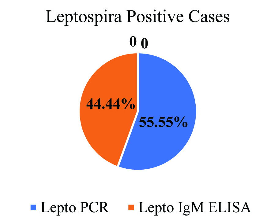 Distribution of Leptospira positive cases.