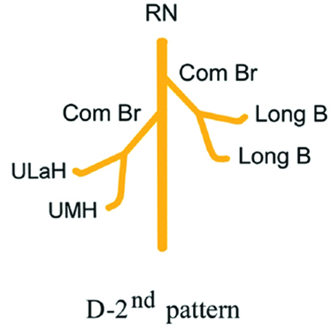 The different branching types.