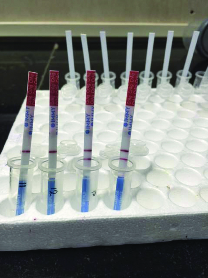 Statistical Analysis