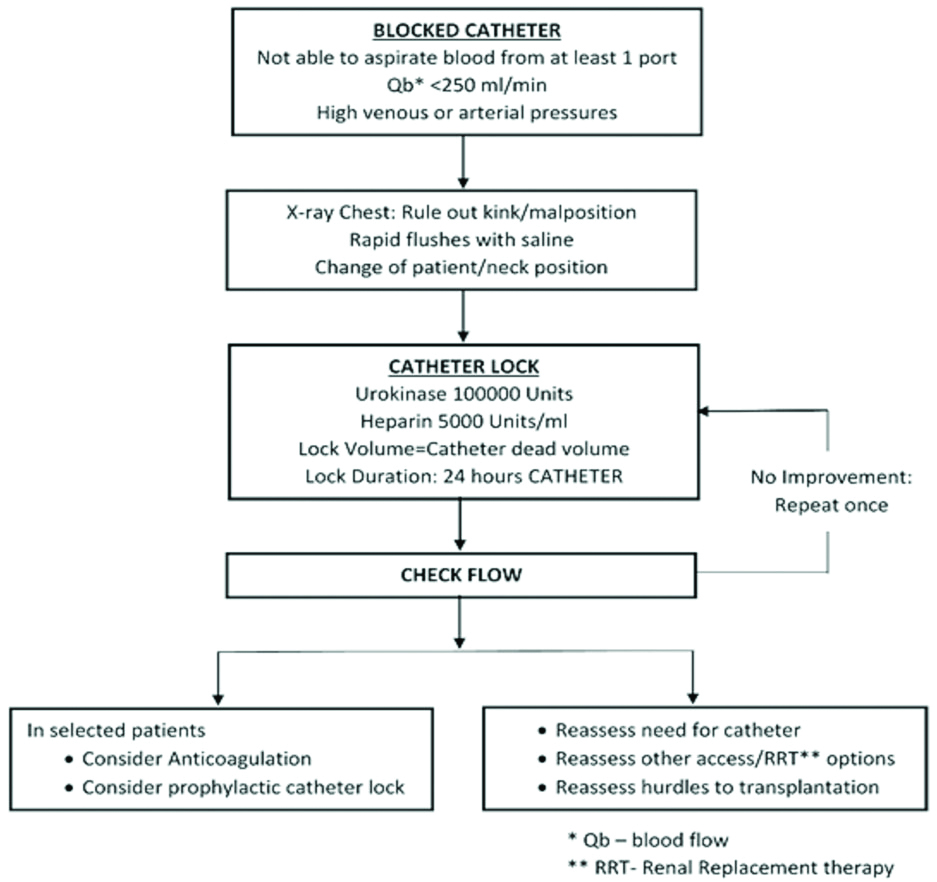 Checklist before planning urokinase lock [ 24 , 25 ].