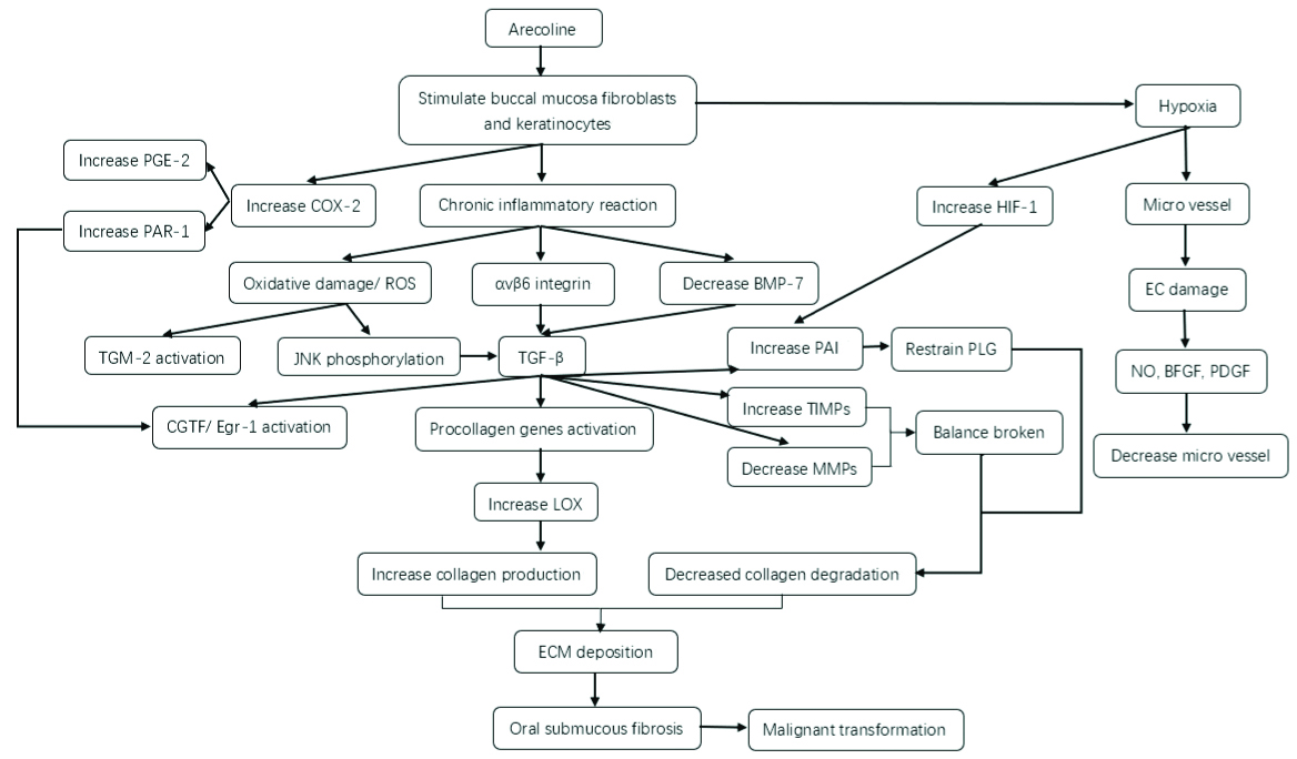 Molecular-Based Therapy