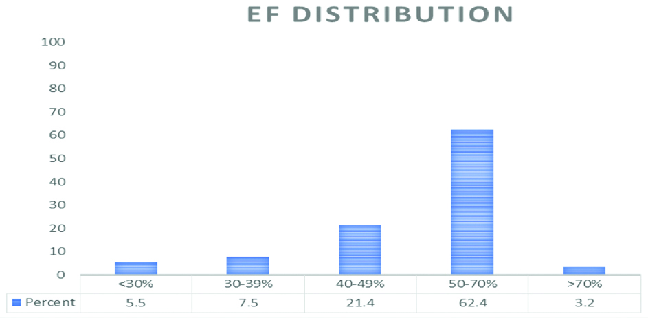 EF: Ejection fraction; Y axis: number of Patients; X-axis: EF distribution