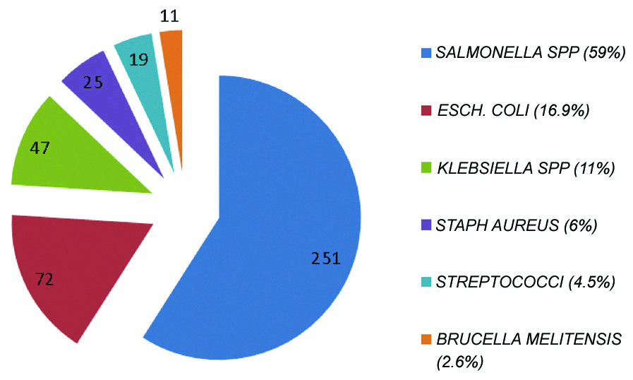 Annual distribution of Brucella cases.