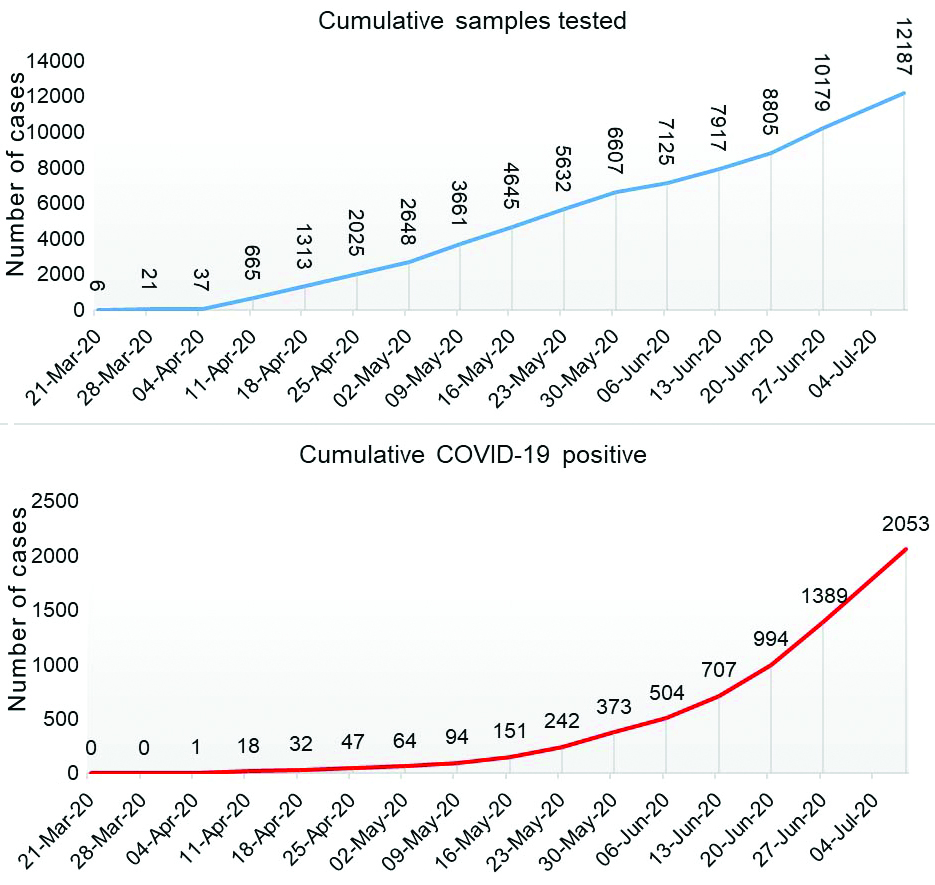 Cumulative sample tested for SARS-CoV-2 infection and COVID-19 ...