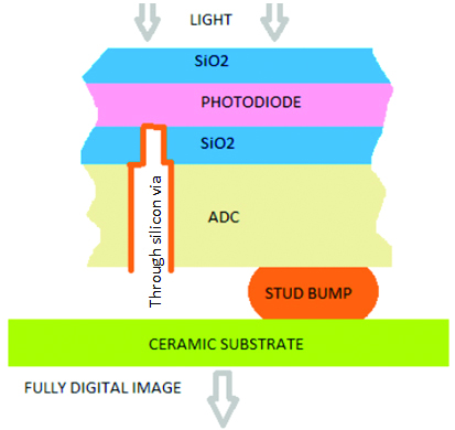 The Stellar detector’s element’s basic set-up is depicted in the ...