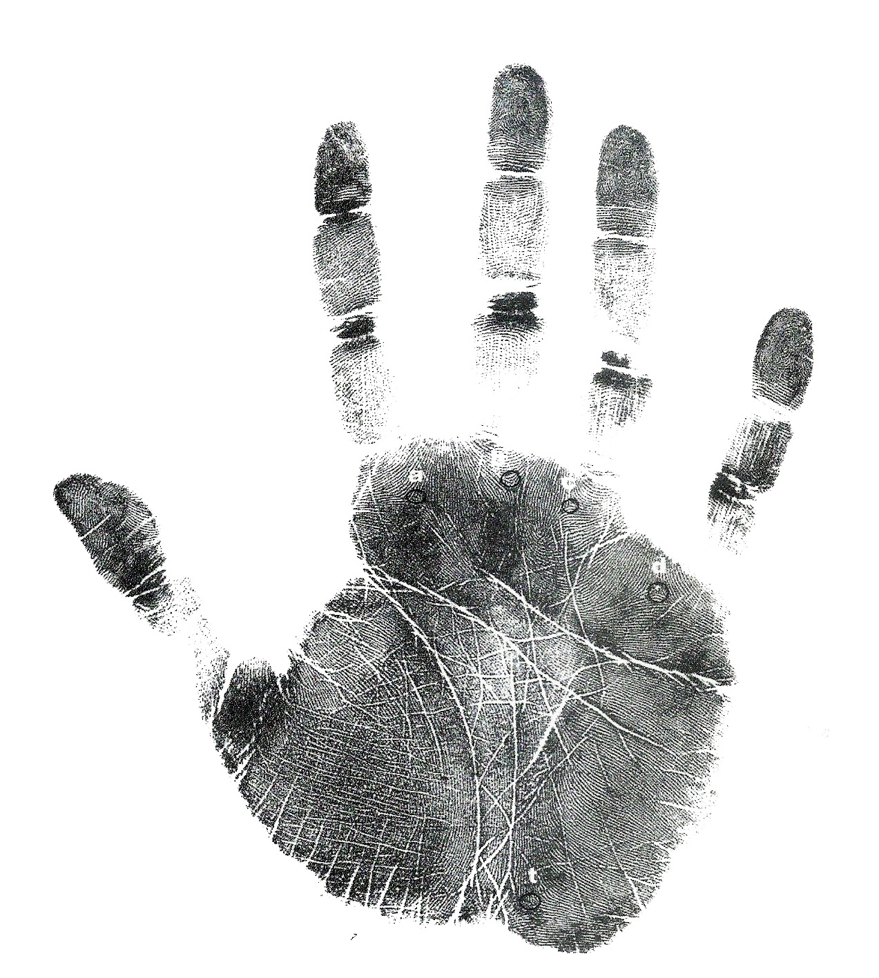 The palm and fingerprints of the individuals were studied under the ...