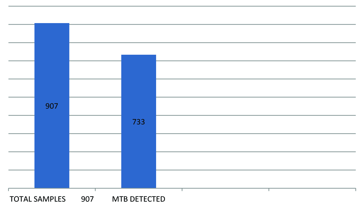 Total sputam smear confirmed cases included in study and MTB detected cases