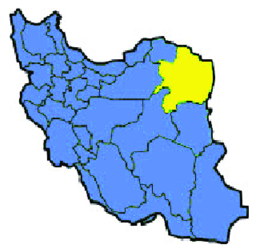 The map of Gonabad city located in Khorasan-e-Razavi, Iran