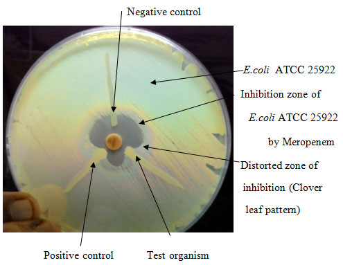 Combined disc test